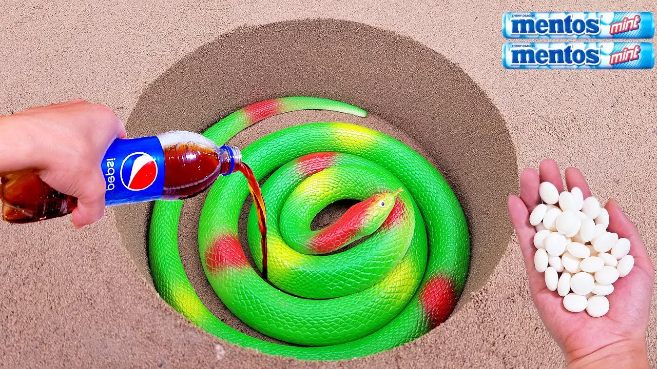 Coca Cola, Different Fanta, Mtn Dew, Pepsi,Sprite and Stretch Toy snake ...