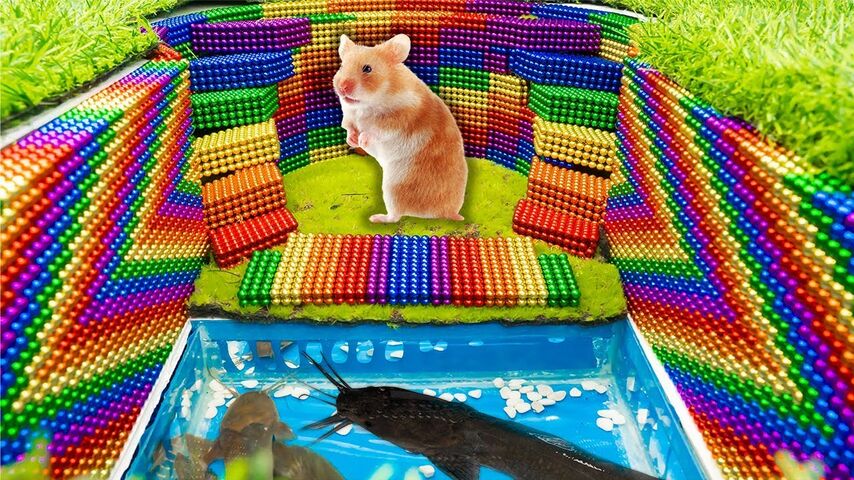 Build Underground House Swimming Pool For Hamster And Catfish With ...