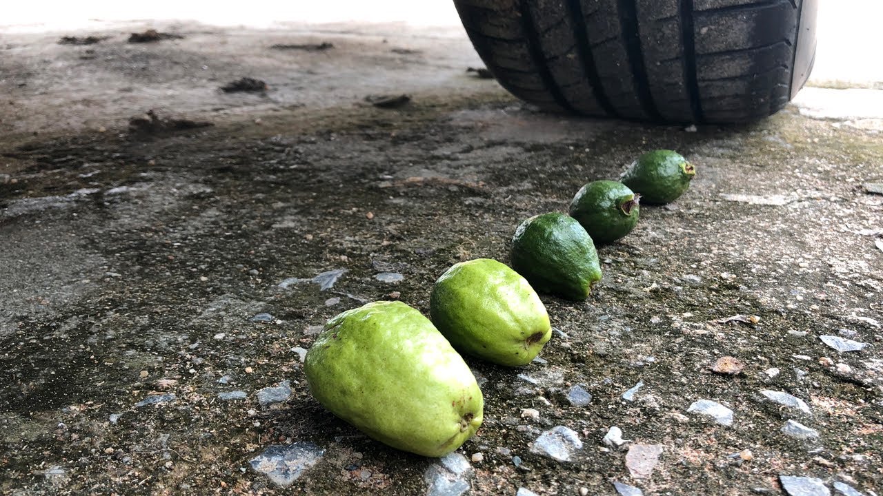Crushing Crunchy & Soft Things by Car -EXPERIMENTS: Car vs Guava, Thing ...