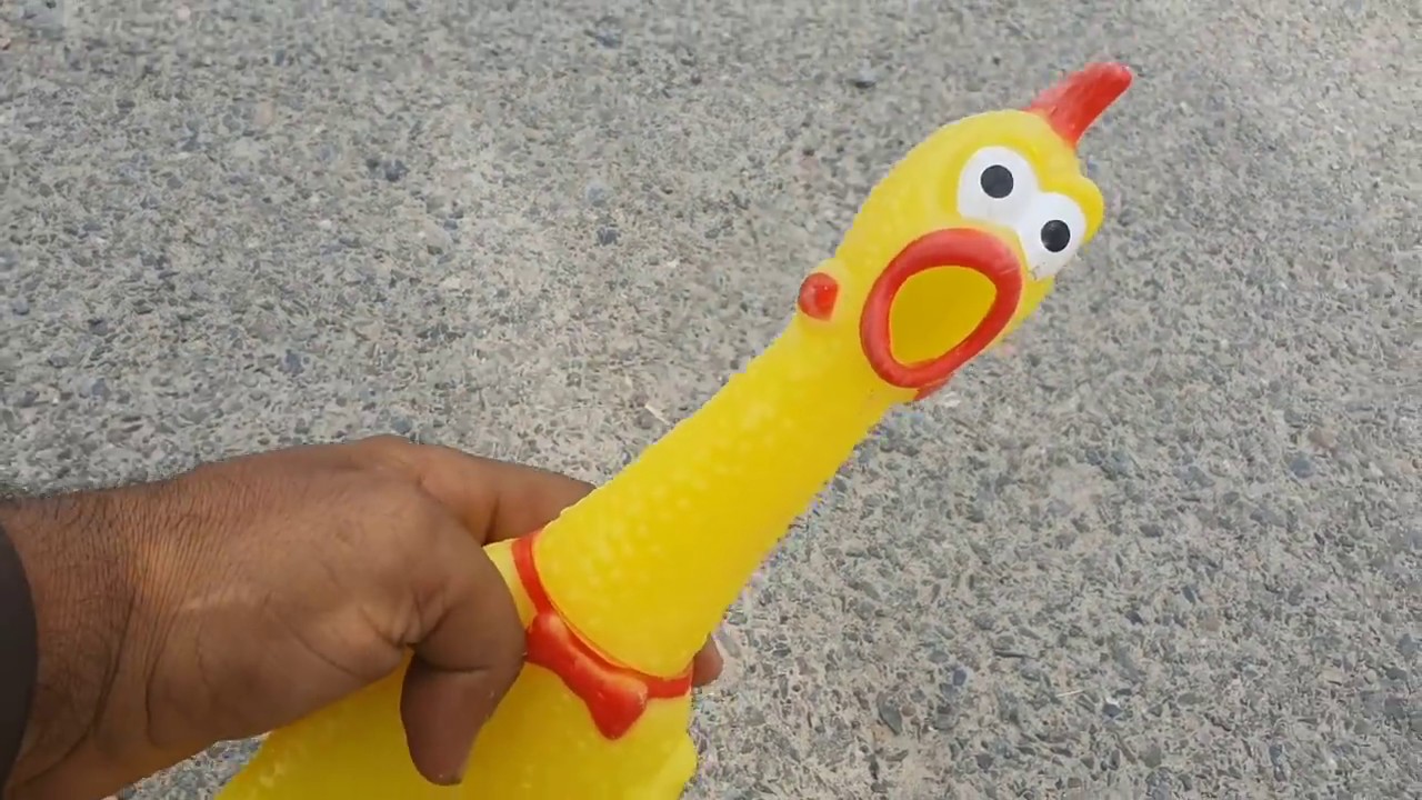 Crushing Crunchy & Soft Things by Car! Floral Foam, Squishy, Rubber ...