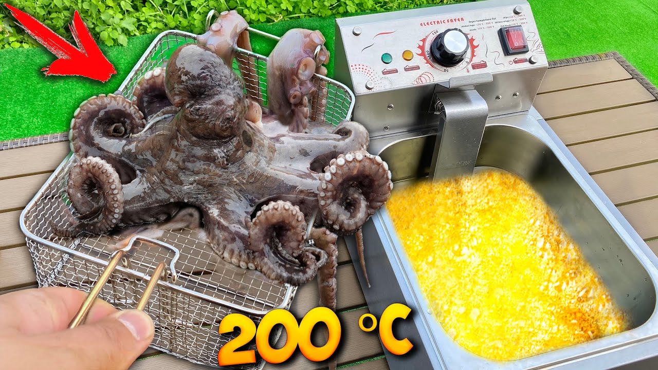 EXPERIMENT: OCTOPUS vs DEEP FRYER