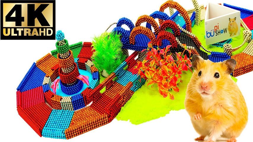 DIY - How To Make Amazing Hamster Race Magic Tracks With Magnetic Balls ...