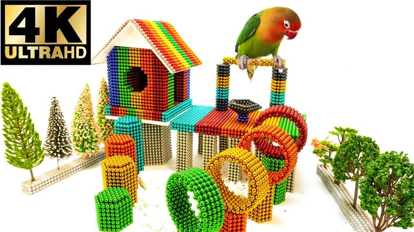 DIY - How To Build Parrot House with Magnetic Balls, Satisfaction 100% ...