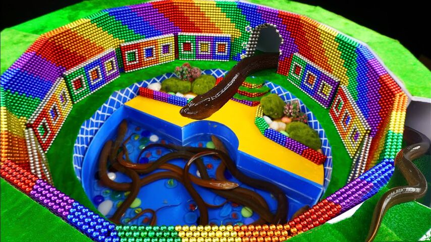 DIY - Build Underground Swimming Pool For Eel With Magnetic Balls ...