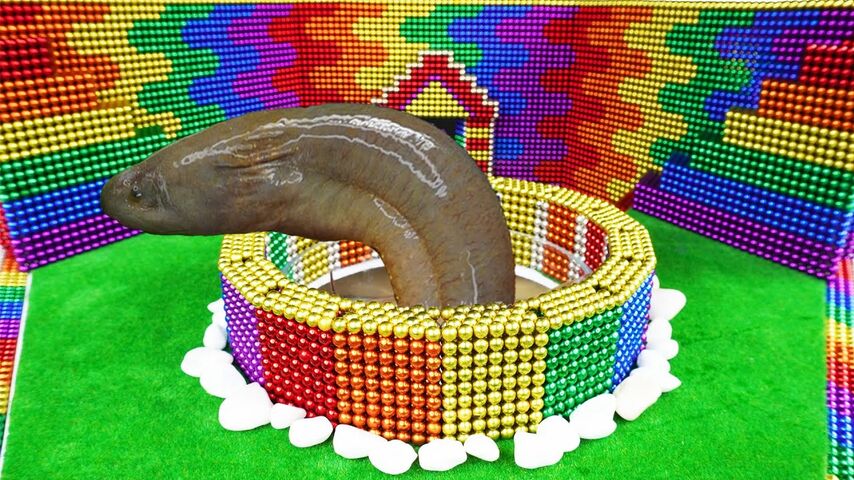 Most Creative - Build Playground For Eel With Magnetic Balls ...