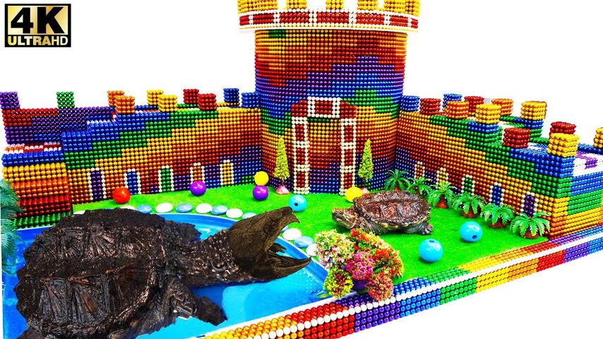 ASMR - Build Castle For Alligator Snapping Turtle With Magnetic Balls ...