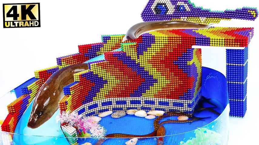 Build Water Slide, Crocodile Swimming Pool For Eel With Magnetic Balls ...